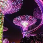 Chauffeur: Cameron Highlands to Singapore Van Transfer - Value for Money and Practical Considerations