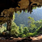 Chauffeur Driven Standard Van - Practical Details: What to Expect from Your Private Van Tour