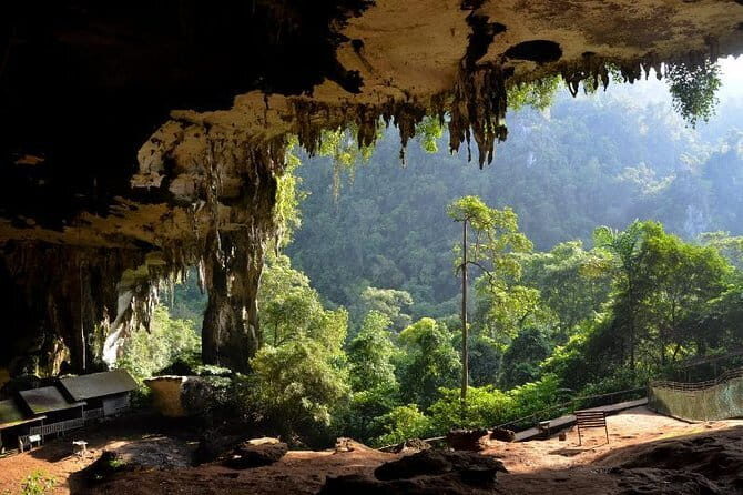 Chauffeur Driven Standard Van - Practical Details: What to Expect from Your Private Van Tour