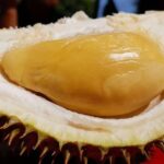 Chauffeur: Genting Highlands to Singapore Car Transfer - FAQ