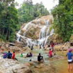 Chauffeur: Kuala Besut to Singapore Van Transfer - Who This Transfer Is Best For