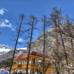 Chengdu: Bipenggou Scenic Area Private Tour - What Travelers Say