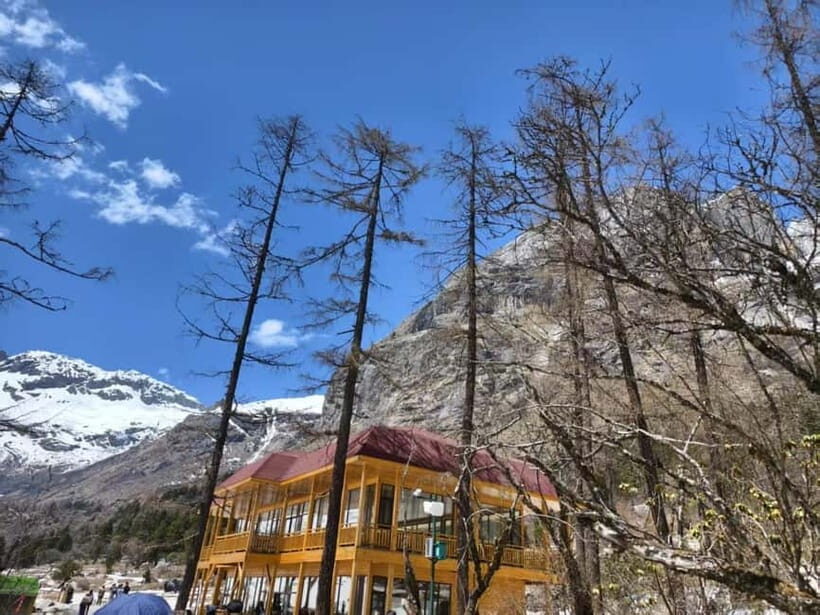 Chengdu: Bipenggou Scenic Area Private Tour - What Travelers Say