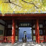 Chengdu City Sightseeing Private Day Tour - Who Will Enjoy This Tour?