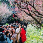 Chengdu: Du Fu Thatched Cottage Poetry Museum - Detailed Breakdown of the Tour