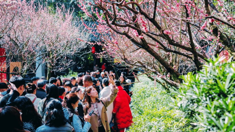 Chengdu: Du Fu Thatched Cottage Poetry Museum - Detailed Breakdown of the Tour