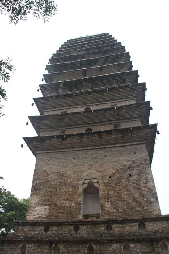 Chengdu: Giant Panda and Leshan Buddha Sall Group Day Tour - Visiting the Chengdu Panda Breeding Center