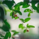 Chengdu Half-Day Cultural Leisure Tour w Personal Photo Shoot - Who Should Consider This Tour?