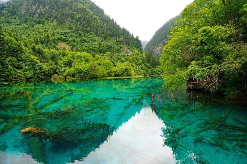 Chengdu & Jiuzhaigou Enchanted Landscapes Tour - The Scenic Route to Huanglong and Jiuzhaigou