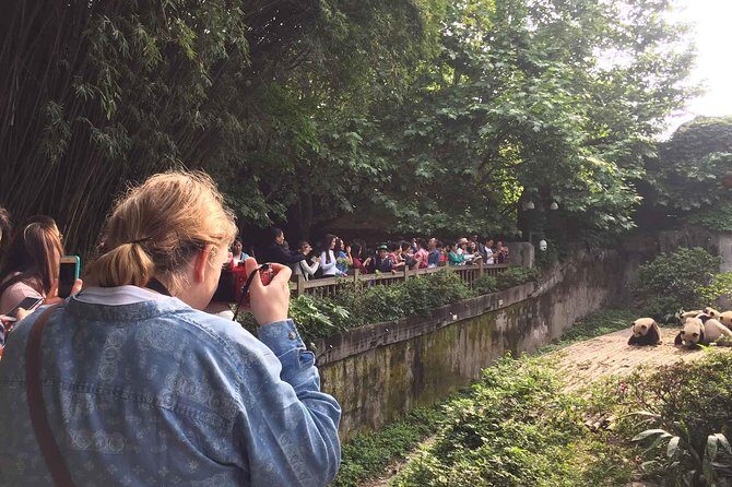 Chengdu One Day Trip of Panda Base Plus Your Choice - Lunch and the Afternoon: Your Choice