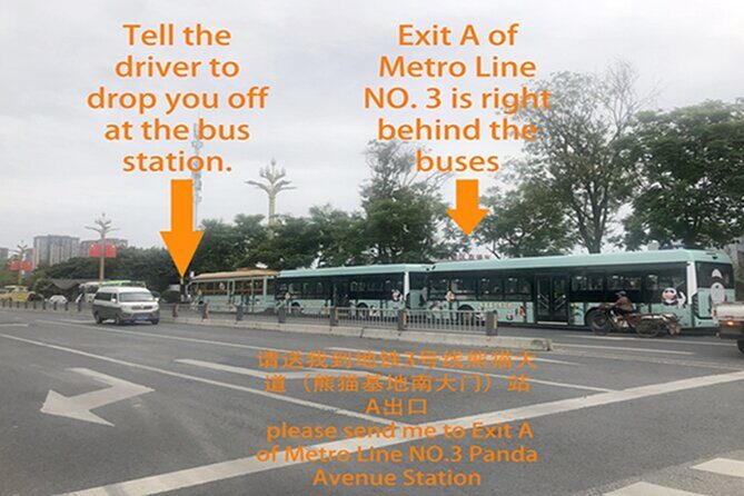 Chengdu Panda Base Half Day Tour - The Experience from Traveler Feedback