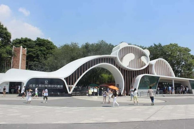 Chengdu: Panda Research Base Ticket or Volunteer Day Trip - Final Thoughts: Is It Worth It?