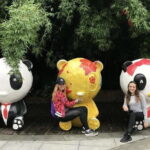 Chengdu Private Day of City Highlights and Panda Experience - What Travelers Say and Why This Tour Shines