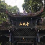 Chengdu Private Day Tour: Du jiang yan Panda Base and Qingcheng Mountain - Details That Matter: Transport, Timing, and Practicalities