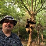 Chengdu Private Day Tour: Giant Panda Base and Qingcheng Mountain - What’s the Experience Like?