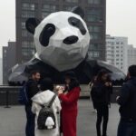 Chengdu Private Tour of Panda Wonderland - Deep Dive into the Tour Components