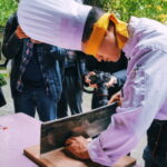 Chengdu: Sichuan Cuisine Museum Entry with Tasting - An In-Depth Look at the Sichuan Cuisine Museum Experience