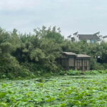 Chengdu: Visit the countryside of China - Farm-to-Table Vegan Lunch