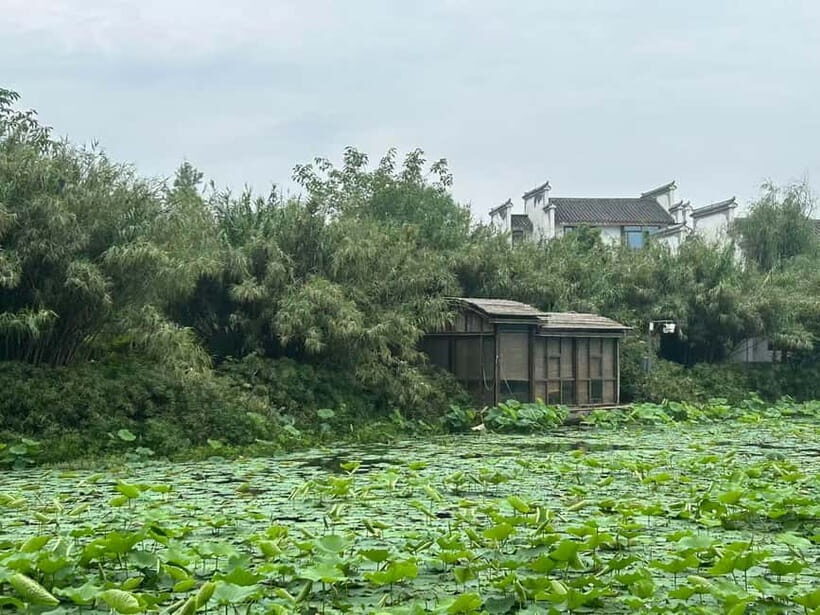 Chengdu: Visit the countryside of China - Farm-to-Table Vegan Lunch
