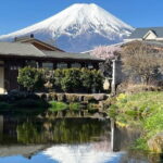 Cherry Blossoms on Mt. Fuji Day Trip with English Speaking Driver - Final Words