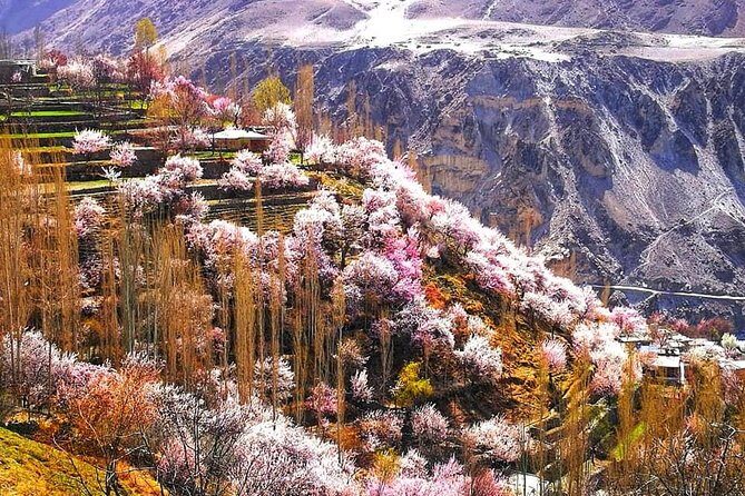 Cherry Blossoms Trip to Northern Areas of Pakistan 2020 (8D 7N) - FAQ