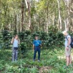 Chiang Mai Coffee Tour: Trekking to Farm, Roast and Brew Workshop - Who Will Love This Tour?