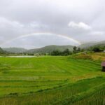 Chiang Mai - Doi Inthanon Full day Tour - FAQs