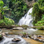 Chiang Mai: Doi Inthanon National Park and Pha Dok Siew Trek - The Experience You’ll Take Home