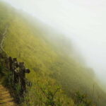 Chiang Mai: Doi Inthanon National Park, Waterfall & Lunch - Pricing & Value