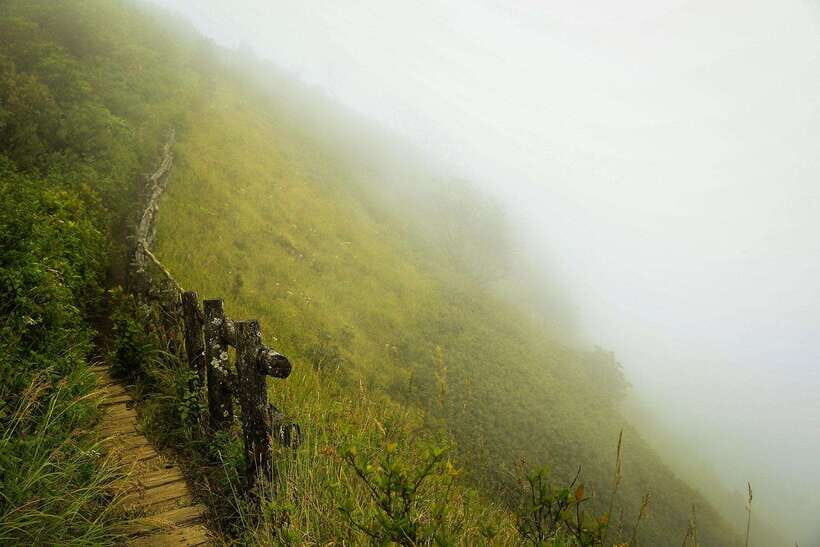 Chiang Mai: Doi Inthanon National Park, Waterfall & Lunch - Pricing & Value