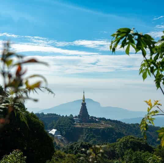 Chiang Mai: Doi Inthanon Park and Pha Dok Siew Trail Trek - In Terms of Value