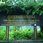 Chiang Mai: Doi Inthanon Park Tour & Kew Mae Pan Trail Hike - The Kew Mae Pan Trail: An Adventure for the Experienced Hiker