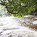 CHIANG MAI: Doi Inthanon-Trekking Pha Dok Seaw-Waterfall-Lunch - Doi Inthanon: The Star of the Day