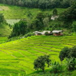 Chiang Mai: Doi Inthanon Trip with Pha Dok Siew Guided Trek - Authentic Experiences and Genuine Impressions