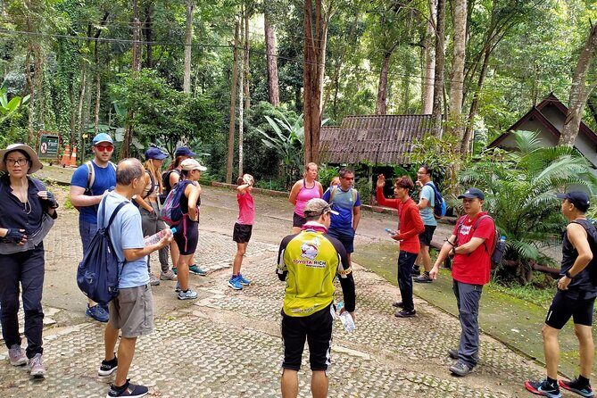 Chiang Mai: Doi Suthep Summit Trek 7 Hour Pure Hiking Adventure - What to Expect from the Doi Suthep Summit Trek