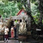 Chiang Mai Elephant Sanctuary and Temples Tour in Spanish - Authentic Encounters and Cultural Insights