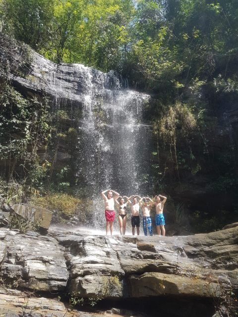 Chiang Mai: Elephant Sanctuary & Jungle Trek w/ Waterfall - What the Tour Includes and Its Value