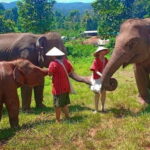 Chiang Mai: Elephant Sanctuary Local Hill Tribe Caretakers - In-Depth Analysis: What Makes This Tour Stand Out