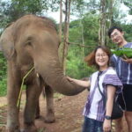 CHIANG MAI ELEPHANT VILLAGE SANCTUARY JUNGLE ADVENTURE - What Makes This Tour Special