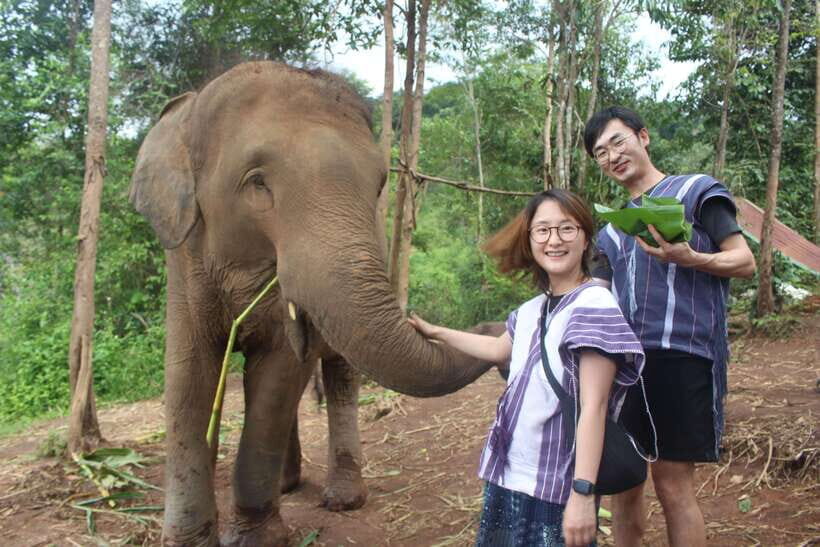 CHIANG MAI ELEPHANT VILLAGE SANCTUARY JUNGLE ADVENTURE - What Makes This Tour Special
