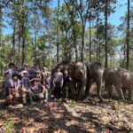 Chiang Mai Half Day Tour: Doi Inthanon Elephant Sanctuary - What We Think About the Value