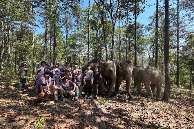 Chiang Mai Half Day Tour: Doi Inthanon Elephant Sanctuary - What We Think About the Value