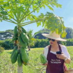 Chiang Mai Organic Thai Cooking Experience - Detailed Breakdown of the Experience