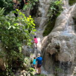 Chiang Mai : Sticky waterfall (Half Day Tour) Hotel Transfer - The Experience of Climbing the Waterfall