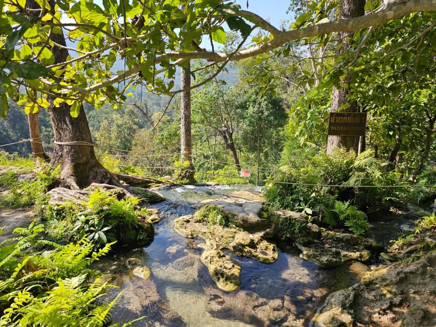 Chiang Mai: Sticky Waterfall Half-Day Tour & Hotel Transfers - What’s Included and What’s Not