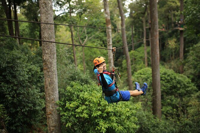 Chiang Mai Zip Line Experience - Authentic Experiences and Real Guest Feedback