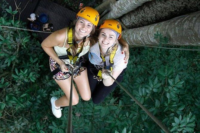 Chiang Mai Zipline White Water Rafting and Elephant Sanctuary - A Close Look at the Itinerary and Experience