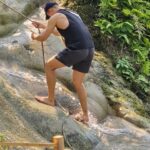 Chiang Mai:Sticky Watefall private tour with lunch - The Waterfalls Experience