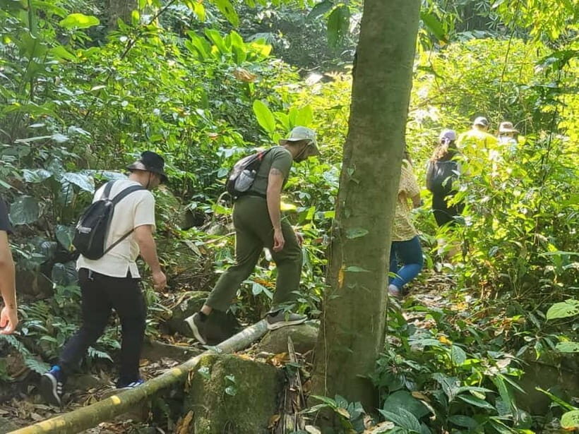 Chiang Rai: Trekking, Bamboo Cooking, and Hot Springs Tour - The Itinerary: What You Can Expect