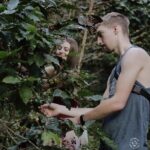 Chiangmai Coffee Farm Tour - The Sum Up